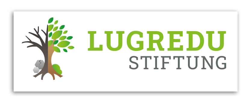 Dreibock für Bäume bauen: Profi-Anleitung zur Stabilisierung großer Bäume